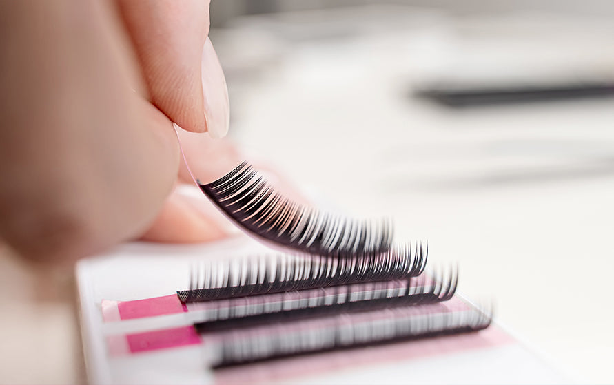 Breaking Down the Lash Lingo: A Glossary for Extension Enthusiasts ...