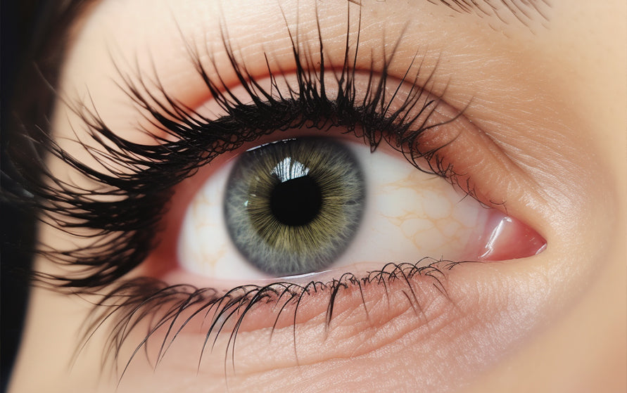 The Art of Eyelash Mapping: Creating Customized Looks for Every Eye Sh ...